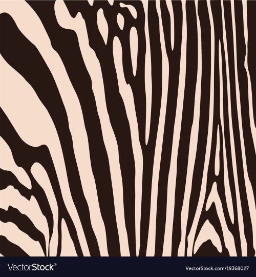 Zebra Pattern For Wallpaper Fabrics Designs - Zebra Pattern (#2880781 ...