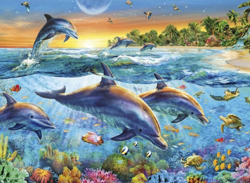 Dolphin And Cow (#52628) - HD Wallpaper & Backgrounds Download