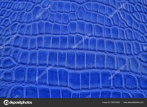 Bumpy Navy Blue Plastic Texture Picture Photograph - Navy Blue Wall ...