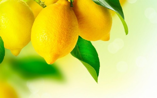 Lemon Hd (#2892452) - HD Wallpaper & Backgrounds Download