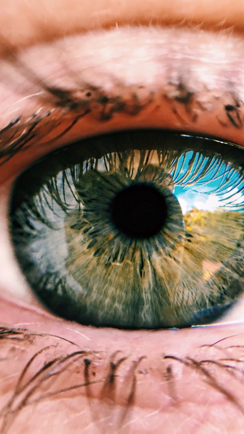 Download Wallpaper Eye Visual System Ocular Woman - Beautiful Eye ...