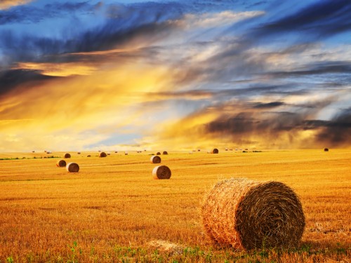 Cool Farm Backgrounds (#2917174) - HD Wallpaper & Backgrounds Download