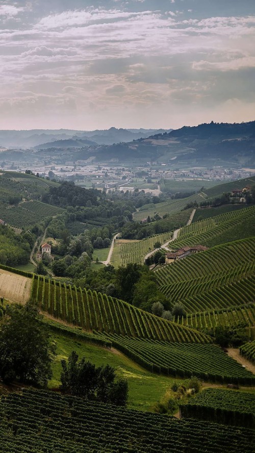 Field Sony Wallpaper - Field Green (#165326) - HD Wallpaper ...