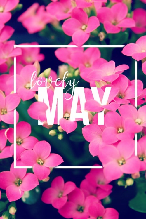 May Wallpapers - Summer 2019 (#1245033) - HD Wallpaper & Backgrounds ...