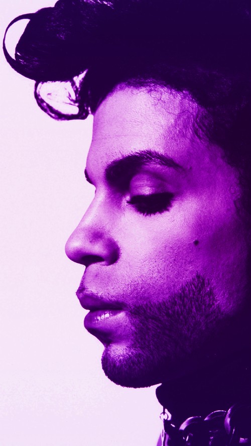 Prince Wallpaper - Prince Profile (#2953441) - HD Wallpaper ...