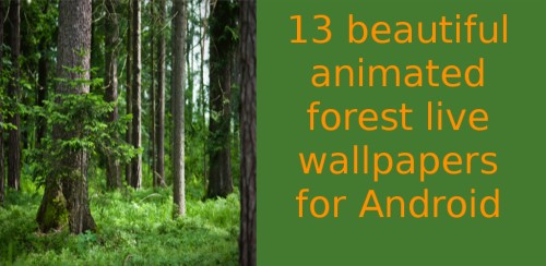 Old-growth Forest (#1251157) - HD Wallpaper & Backgrounds Download