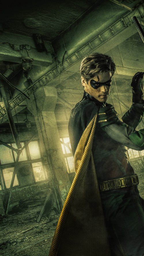 Robin Wallpaper (#2965479) - HD Wallpaper & Backgrounds Download