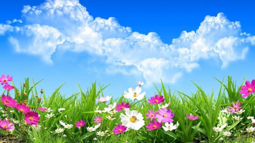 Spring Wallpaper Android Apps On Google Play - Spring Wallpapers Hd ...