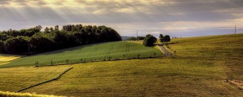 Wallpaper Field, Arable Land, Agriculture, Hills, Road, - Agriculture ...