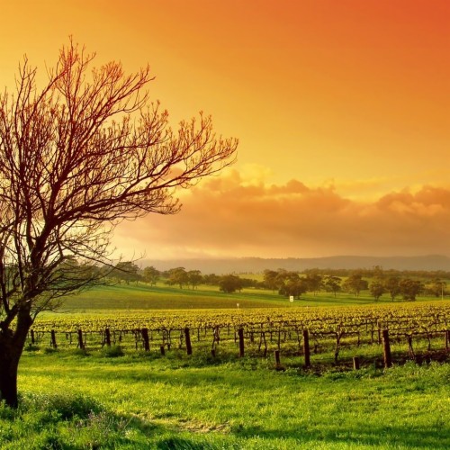 All The Wallpaper Images Download (#2979992) - HD Wallpaper ...