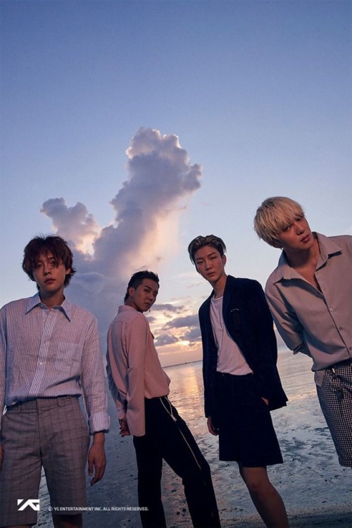 Winner Wallpaper (#2980473) - HD Wallpaper & Backgrounds Download