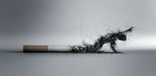 Smoke Addiction (#2983230) - HD Wallpaper & Backgrounds Download