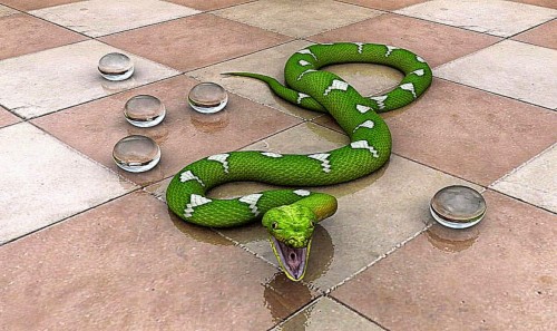 Free Download Hd 3d Snake And Ball Wallpaper Download - Moving Snake ...