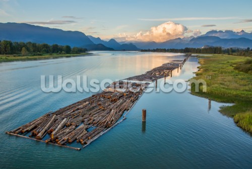 Logs On The River Mural Wallpaper - Logging Pile In The River (#2992548 ...