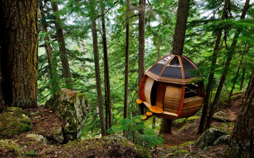 Whistler Tree House (#3012811) - HD Wallpaper & Backgrounds Download