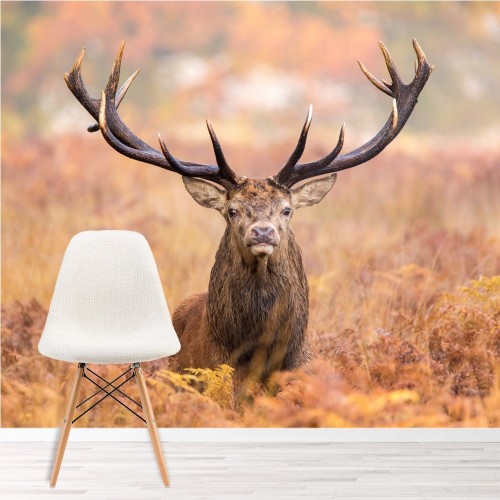 Stag Head Wallpaper Uk (#3017090) - HD Wallpaper & Backgrounds Download