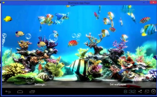 List of Free Fish Live Wallpapers Download - Itl.cat