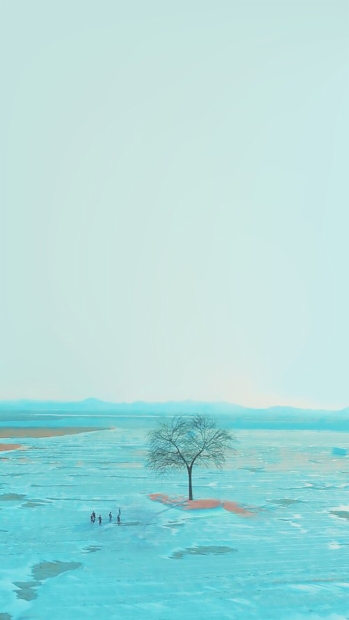 Jin Wallpaper - Spring Day Wallpaper Bts (#364178) - HD Wallpaper ...