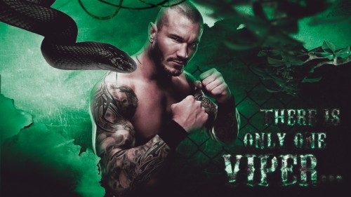Wwe Superstars Randy Orton (#3136668) - HD Wallpaper & Backgrounds Download