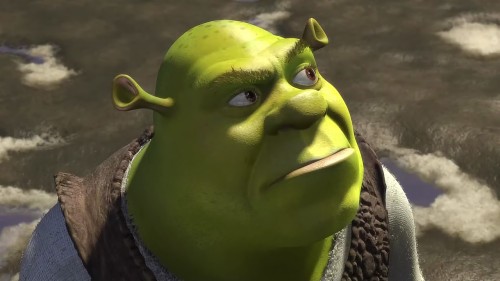 Shrek Hd Wallpapers, Desktop Wallpaper - Shrek Good Luck Meme (#2609842 ...