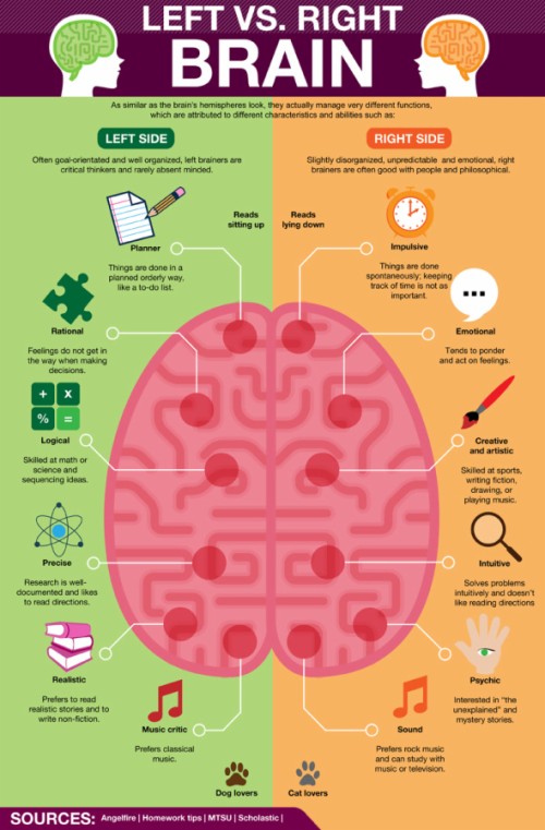 Left Right Brain Wallpaper - Right Brain Vs Left Brain Dominant ...