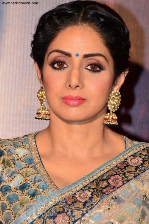 Mr India Sri Devi (#785579) - HD Wallpaper & Backgrounds Download