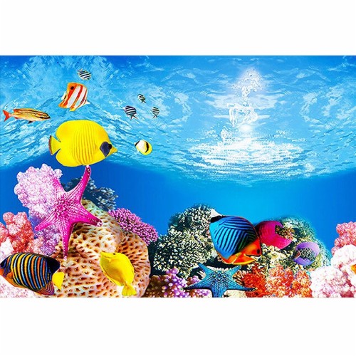 Fish Aquarium Background Poster (#3098508) - HD Wallpaper & Backgrounds ...