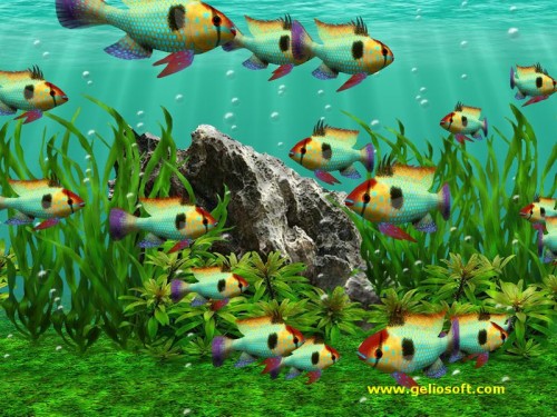 Microsoft Fish Screensaver Wallpaper (#144419) - HD Wallpaper ...