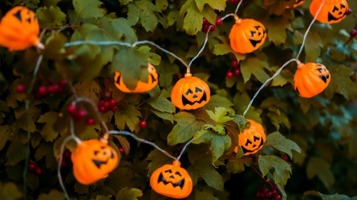Cute Haloween - Cute October Hd (#3112384) - HD Wallpaper & Backgrounds ...