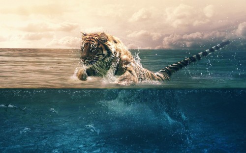 2018 Macbook Pro 15 Inch Retina Wallpapers Resolution - 4k Macbook Pro ...