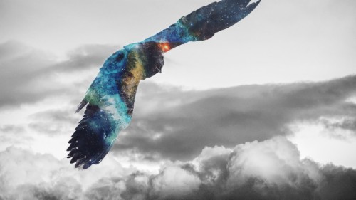 Photoshop Logo 4k (#3120788) - HD Wallpaper & Backgrounds Download