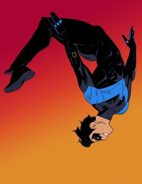 Nightwing Wallpaper (#3131115) - HD Wallpaper & Backgrounds Download