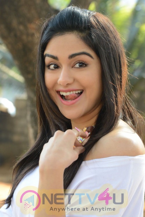 Soundarya Sharma - Photo Shoot (#1804827) - HD Wallpaper & Backgrounds ...