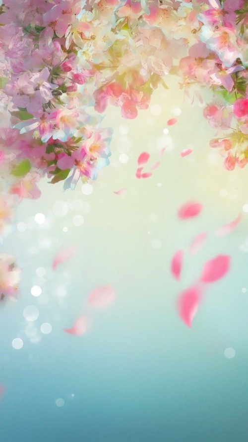 Spring - Hd Phone Wallpaper Flower (#151888) - HD Wallpaper ...