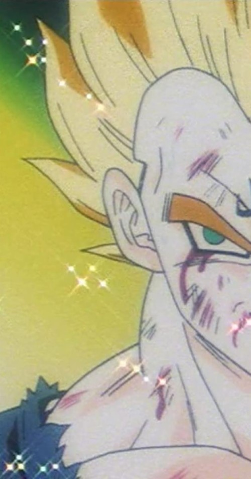 Majin Vegeta Wallpapers Top Free Majin Vegeta Backgrounds - Majin ...