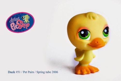 Littlest Pet Shop Playsets - Littlest Pet Shop Candy (#3176935) - HD ...