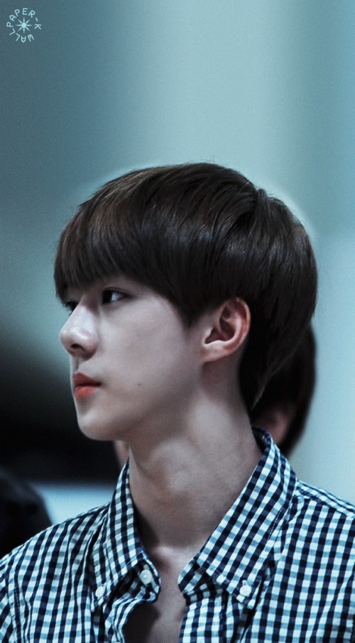 Sehun (#195710) - HD Wallpaper & Backgrounds Download