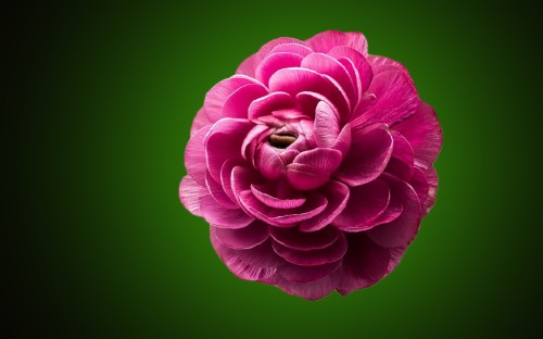 Microsoft Excel Background (#1474973) - HD Wallpaper & Backgrounds Download