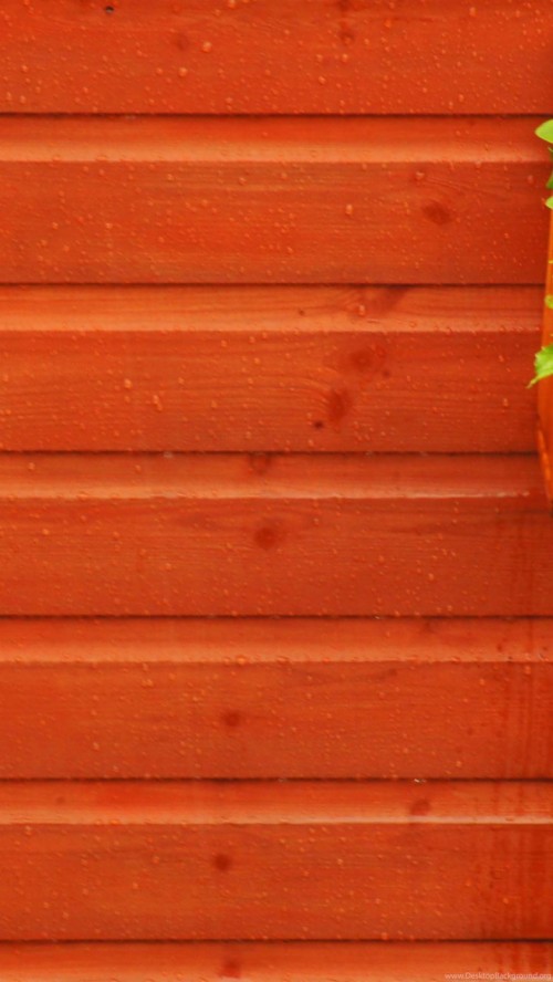 Plank (#3067640) - HD Wallpaper & Backgrounds Download