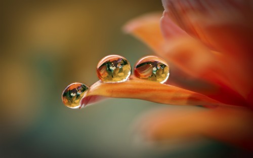 Hd Water Drop Desktop Background 3d - Hd Water Droplets (#734724) - HD ...
