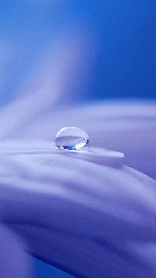 Water Backgrounds - Full Hd Water Drop Wallpaper For Mobile (#3229025 ...