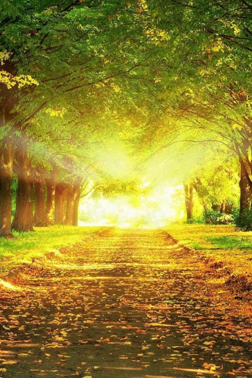 Scenery - Hd Scenery Photo Full Screen (#1864032) - HD Wallpaper ...