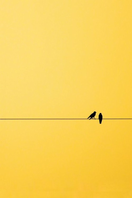 Minimalist Yellow Photography (#3237628) - HD Wallpaper & Backgrounds ...