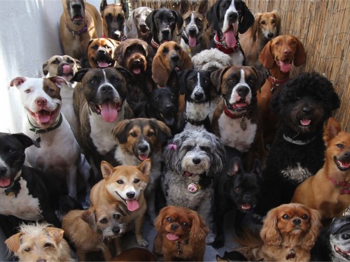 Eldad Hagar And Lisa Chiarelli (#3249888) - HD Wallpaper & Backgrounds ...