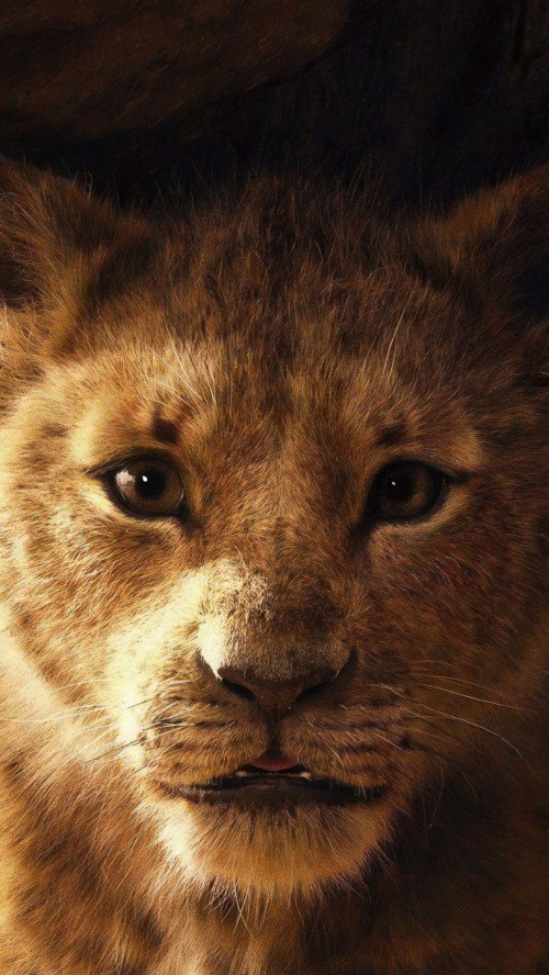 Leon Fondo De Pantalla (#3252151) - HD Wallpaper & Backgrounds Download