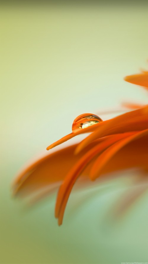 Free Wallpaper For Samsung Note (#24241) - HD Wallpaper & Backgrounds ...