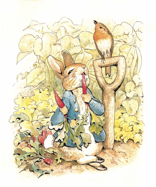 Rabbit Live Wallpaper - Illustration Peter Rabbit Book (#3268094) - HD ...
