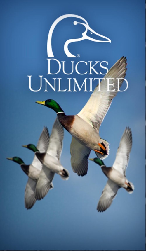 Ducks Unlimited Wallpaper - Ducks Unlimited Logo Missouri (#3271983 ...