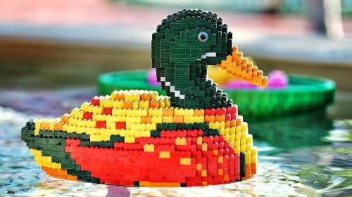 Mallard (#3272016) - HD Wallpaper & Backgrounds Download