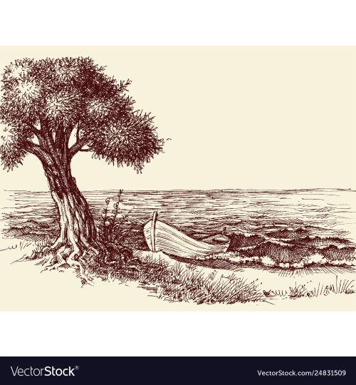 Olive Tree And A Boat On Sea Shore Wallpaper - Olive Tree And A Boat ...